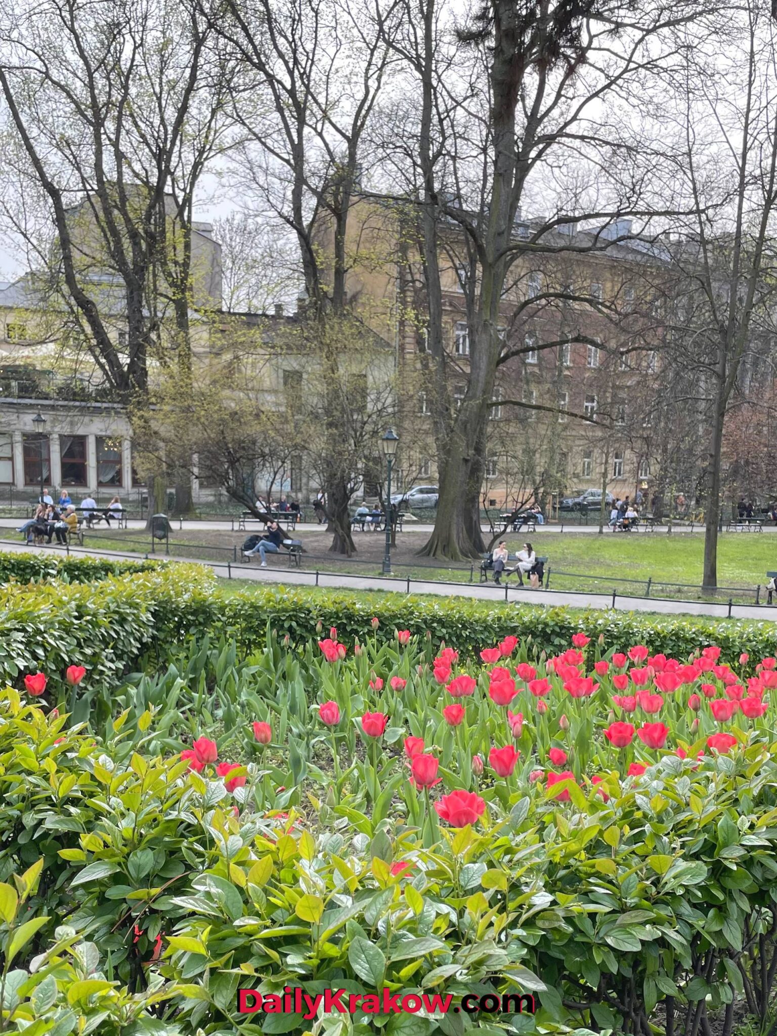 Krakow in March weather, temperature & what to wear